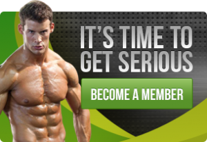 Services - Justin Woltering